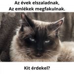 60 éves születésnapi köszöntő vicces - Születésnapi köszöntők