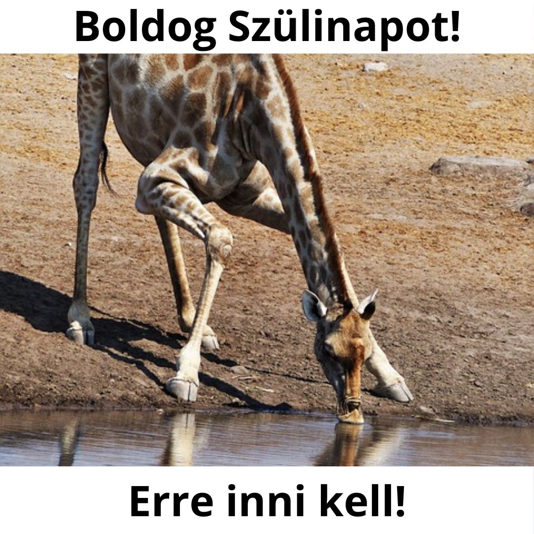 Vicces szülinapi képek férfiaknak - Születésnapi köszöntők